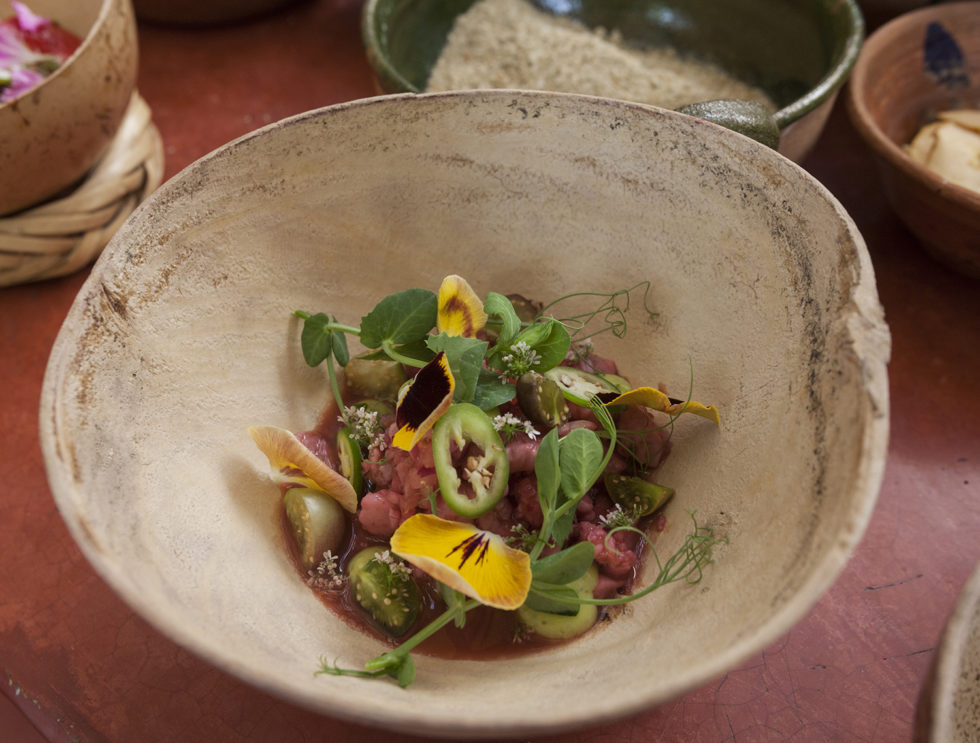 Colibrí Jiménez | The Best Address