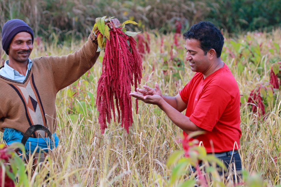 Michael Swamy | The Best Address