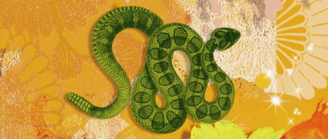 Weekly Horoscope 30th November 2020 To 6th December 2020 By Numero ...