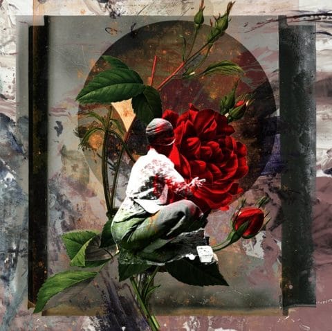 Luise Eru | The Best Address