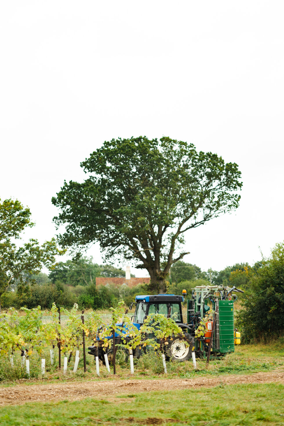 Kinsbrook Vineyard | The Best Address